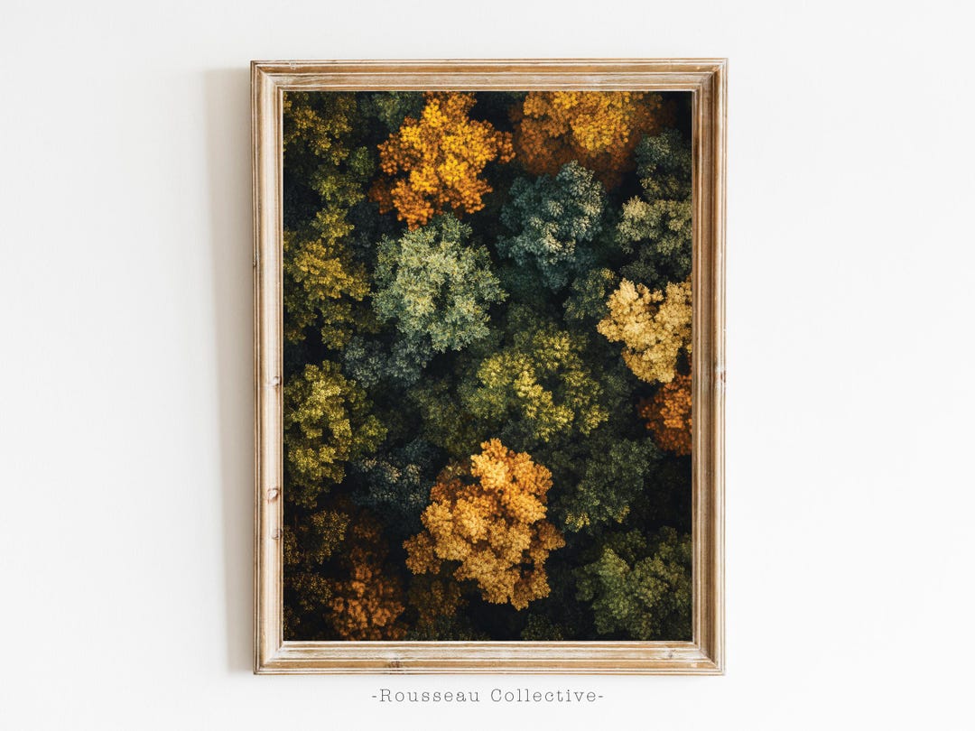 Autumn Forest Aerial Art Print: Rustic Tree Canopy Wall Decor - Etsy