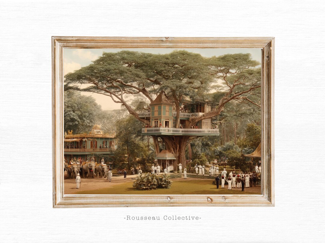 Vintage Colonial Africa Treehouse Photoart Print, British Raj Postcard ...