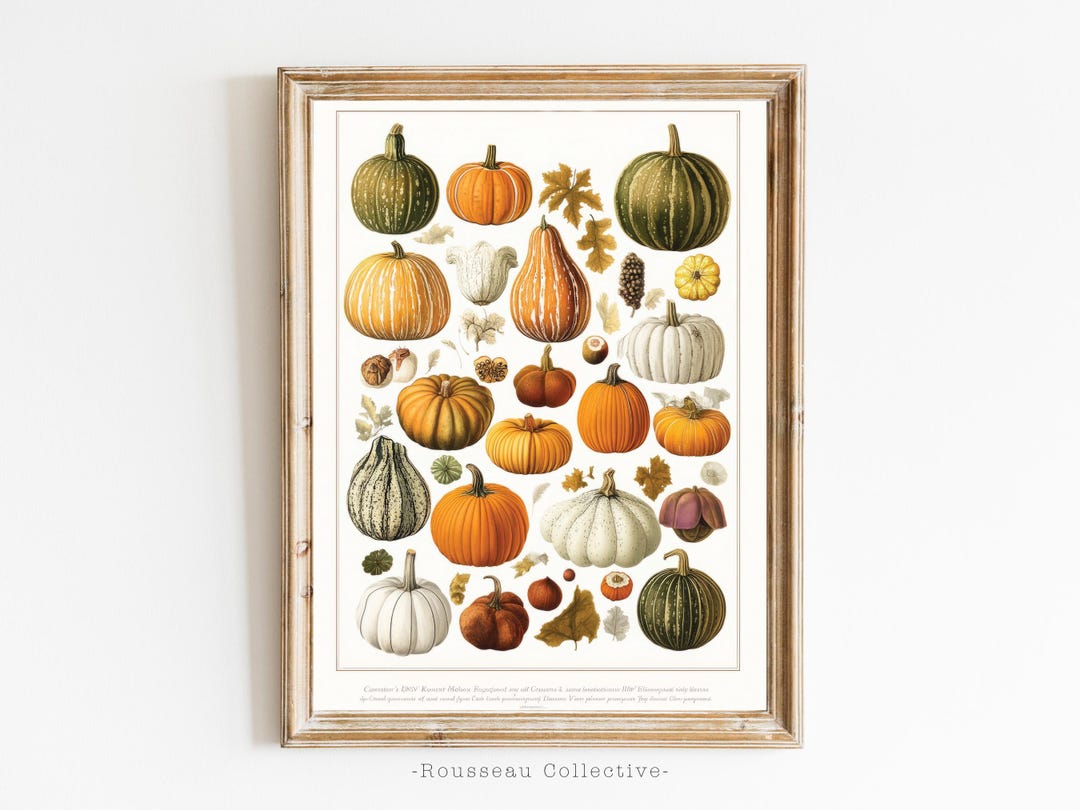Autumn Pumpkin Indentification Chart Illustration Art Print: Halloween ...