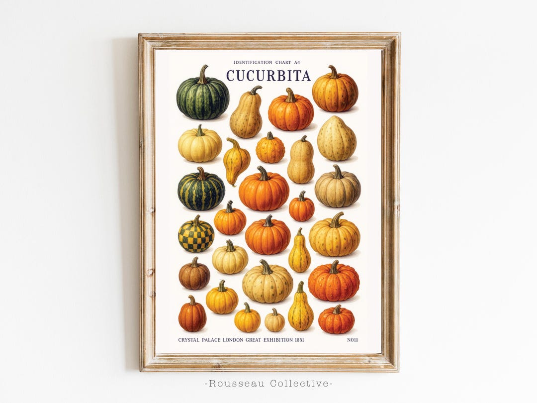 Vintage Pumpkin Identification Chart Print: Botanical Autumn Wall Art ...