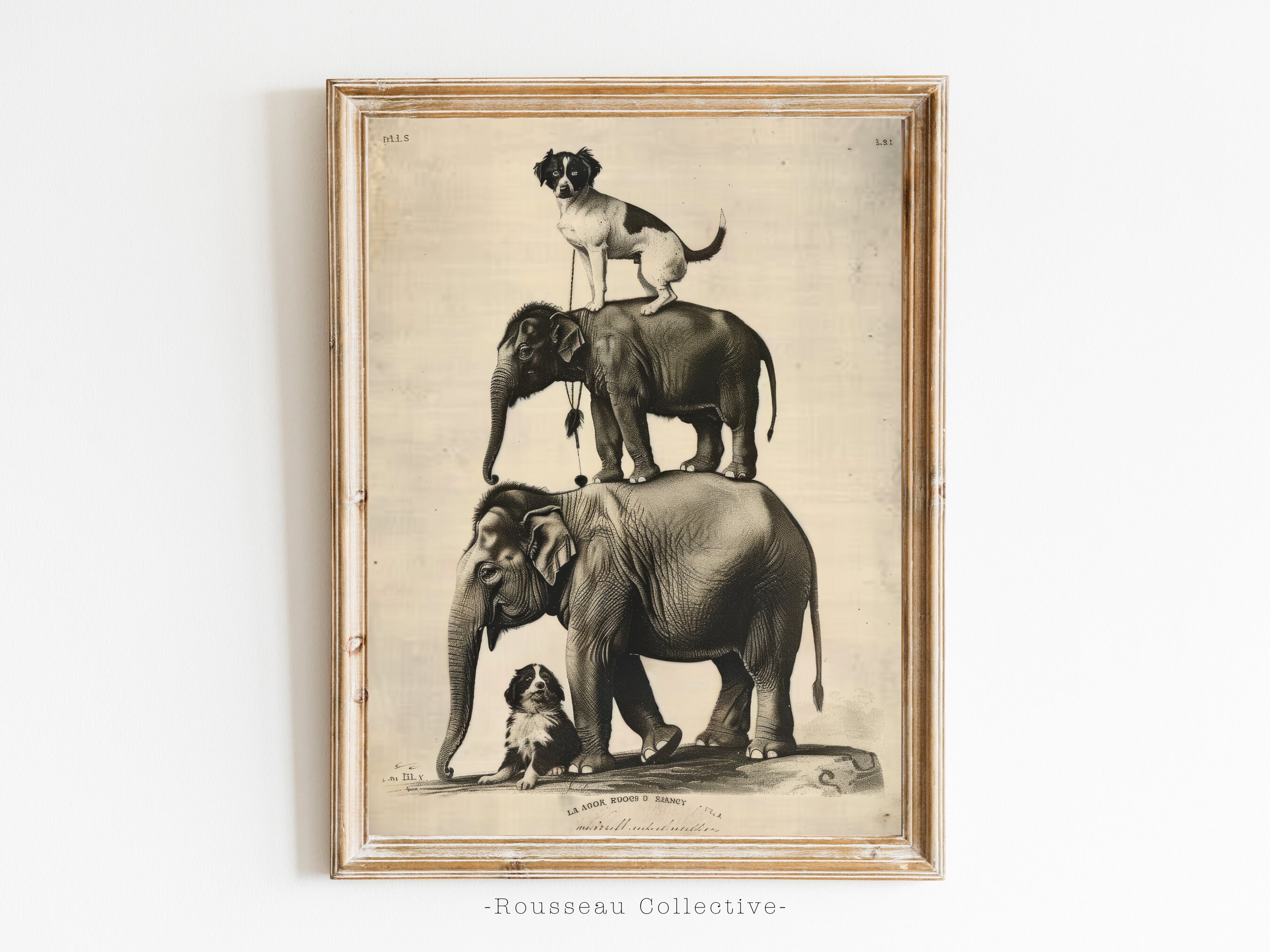 Vintage Antique Colonial Drawing, Vintage Illustration Wall Art, Jungle ...