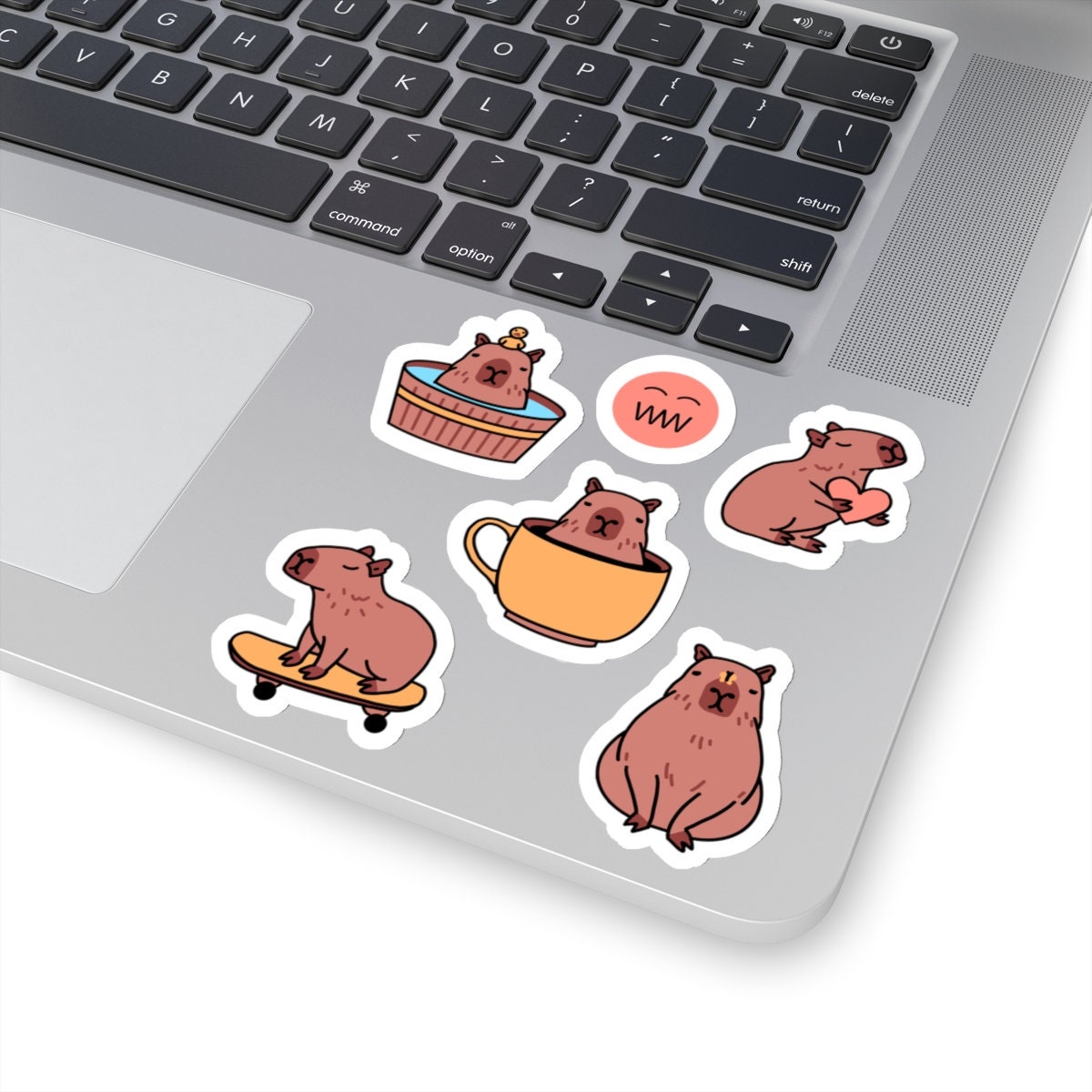 Cute Capybara Sticker Pack Sticker Set With Five Adorable Capybaras ...