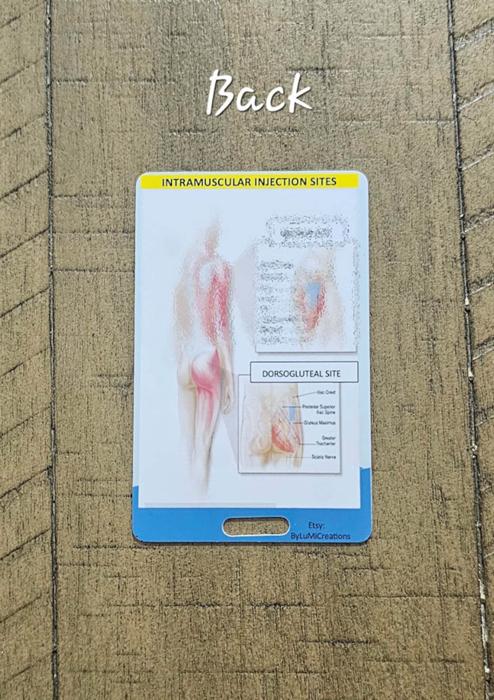 Intramuscular Injection Sites/ IM/ Landmarking / Mental Health Nursing ...