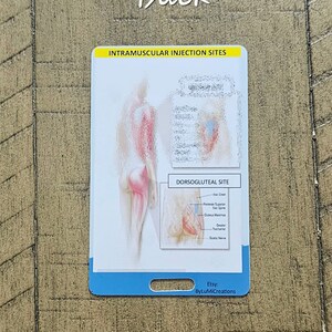 Intramuscular Injection Sites/ IM/ Landmarking / Mental Health Nursing ...