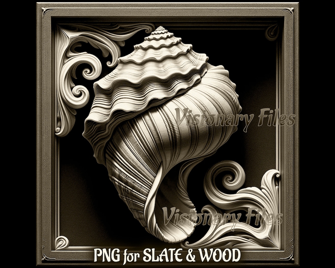 Seashell 3D Illusion PNG Laser File, Seashell 3D PNG, Shell Slate ...