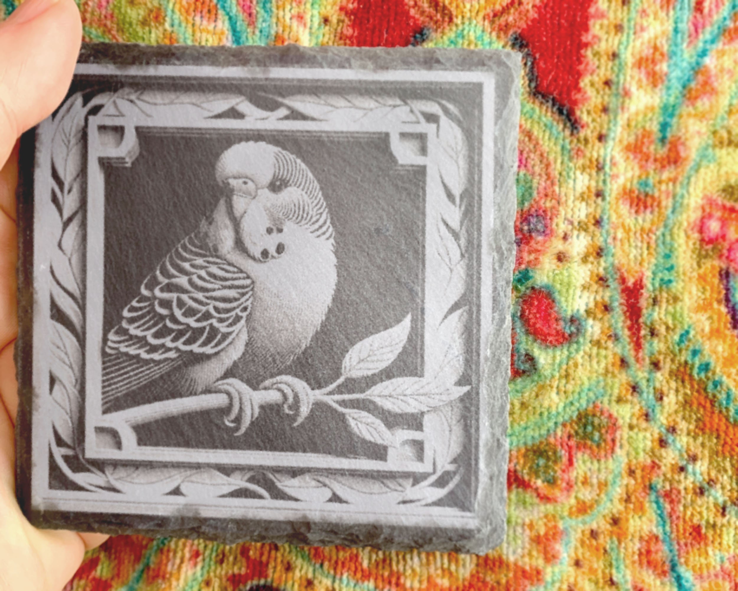 Budgie 3D Illusion PNG Laser File, Budgerigar PNG, Bird PNG, Bird Slate ...