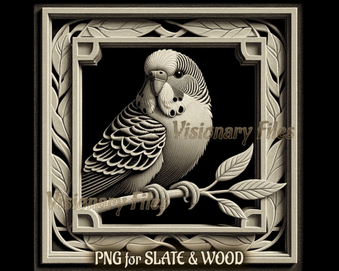 Budgie 3D Illusion PNG Laser File, Budgerigar PNG, Bird PNG, Bird Slate ...