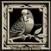 Budgie 3D Illusion PNG Laser File, Budgerigar PNG, Bird PNG, Bird Slate ...