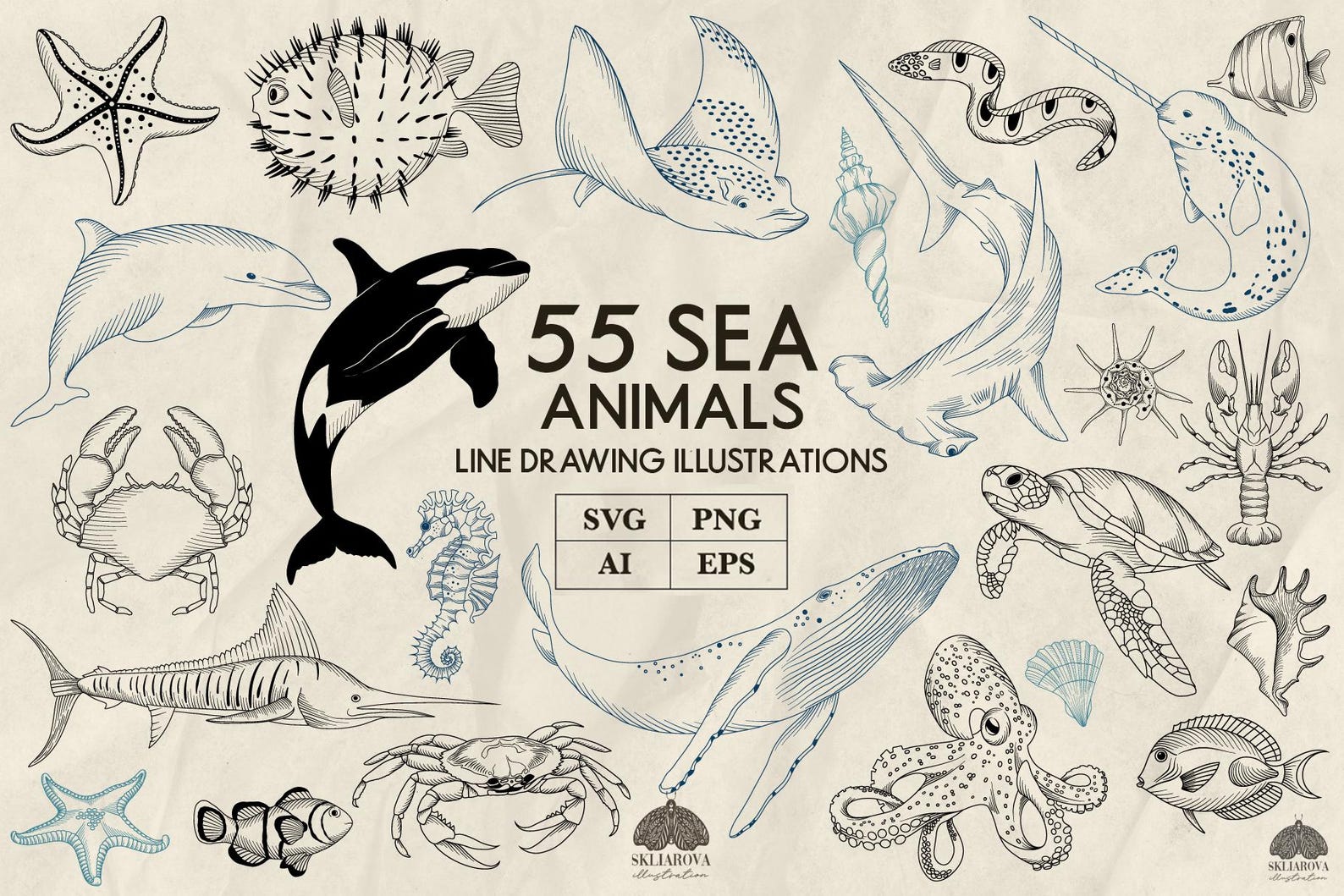 Sea Animals Line Art SVG Bundle: 55 Marine Life Illustrations ( + PNG ...