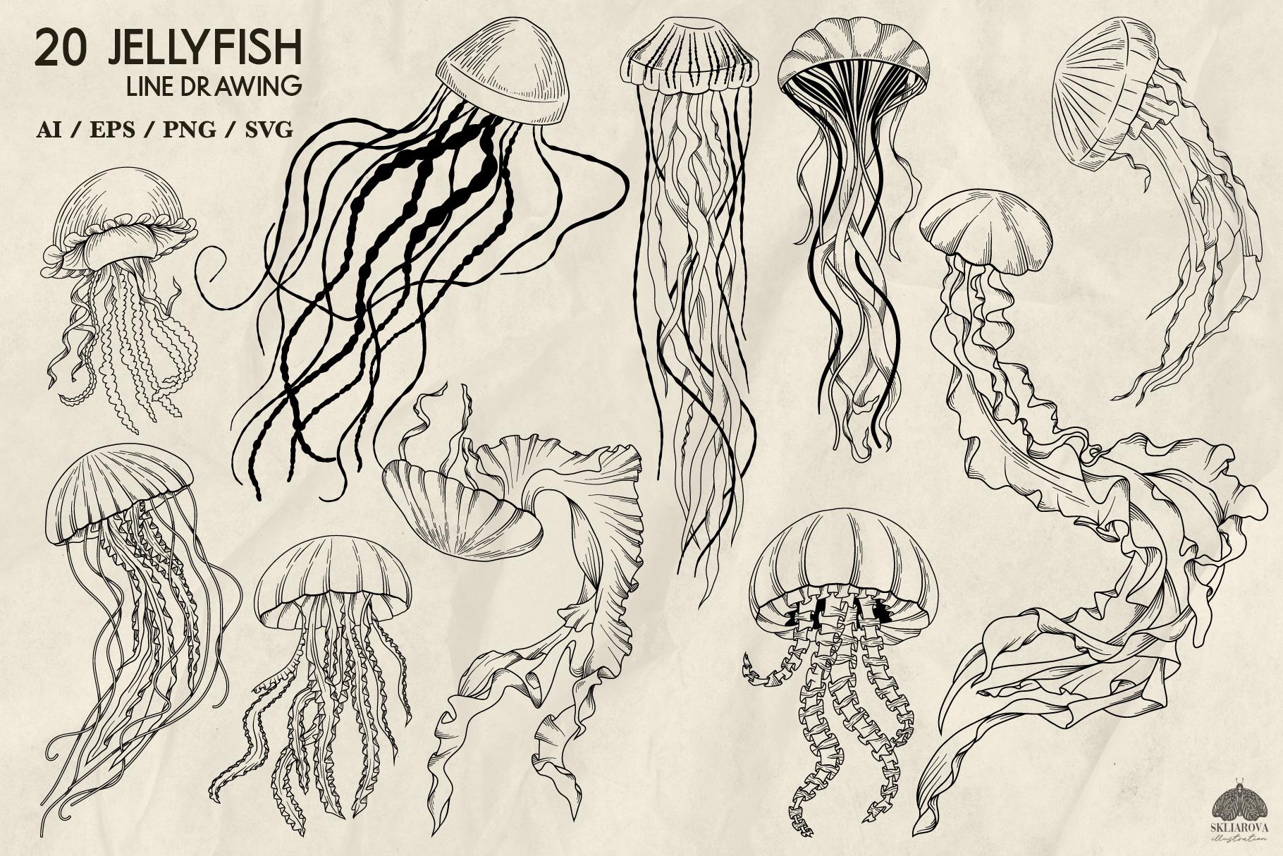 Jellyfish Svg Bundle Sea Animals Svg Line Art Jellyfish Outline Hand ...