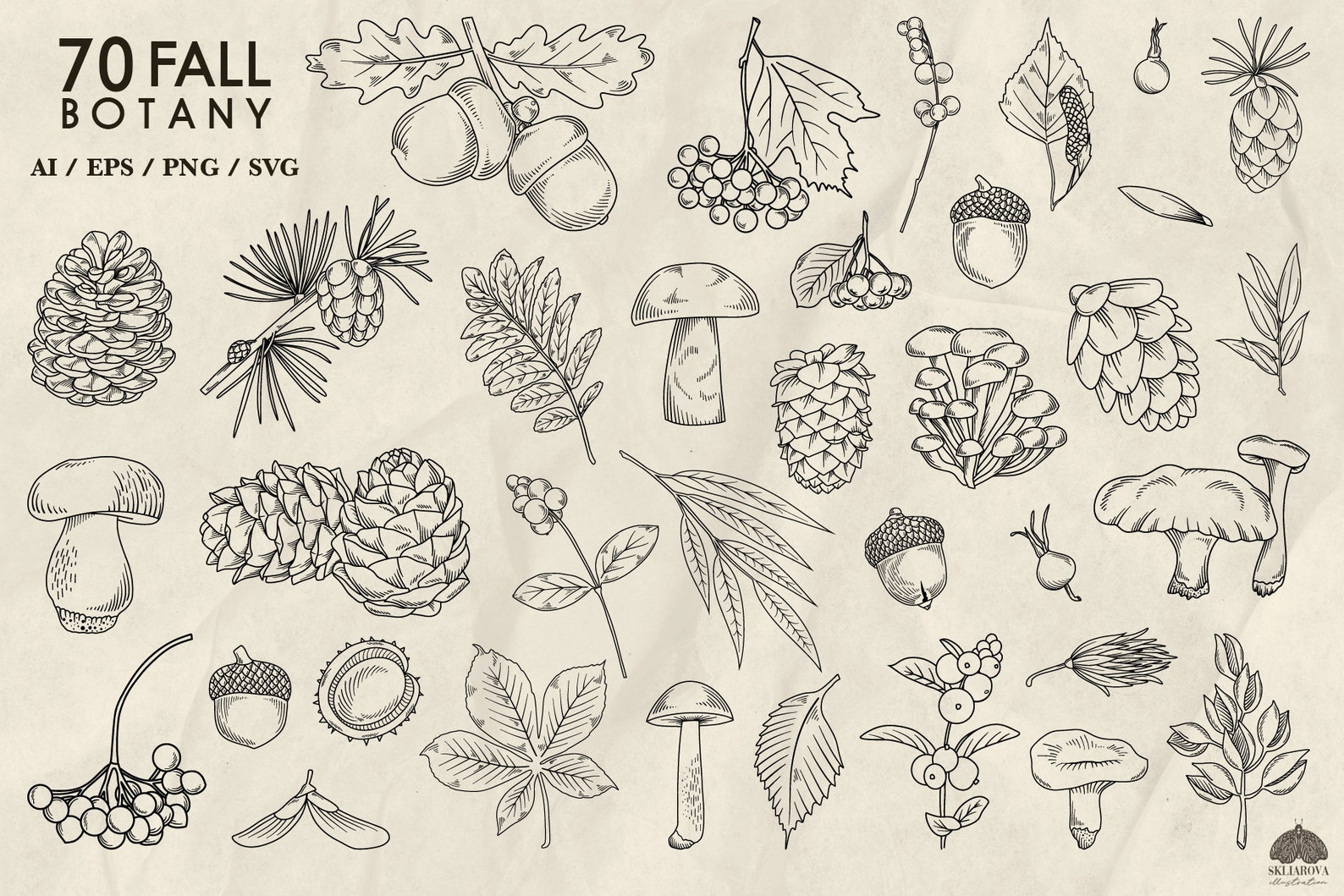 Fall Botanical Line Art SVG Bundle: 70 Autumn Floral Vector ...