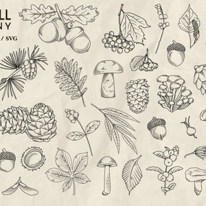 Fall Botanical Line Art SVG Bundle: 70 Autumn Floral Vector ...