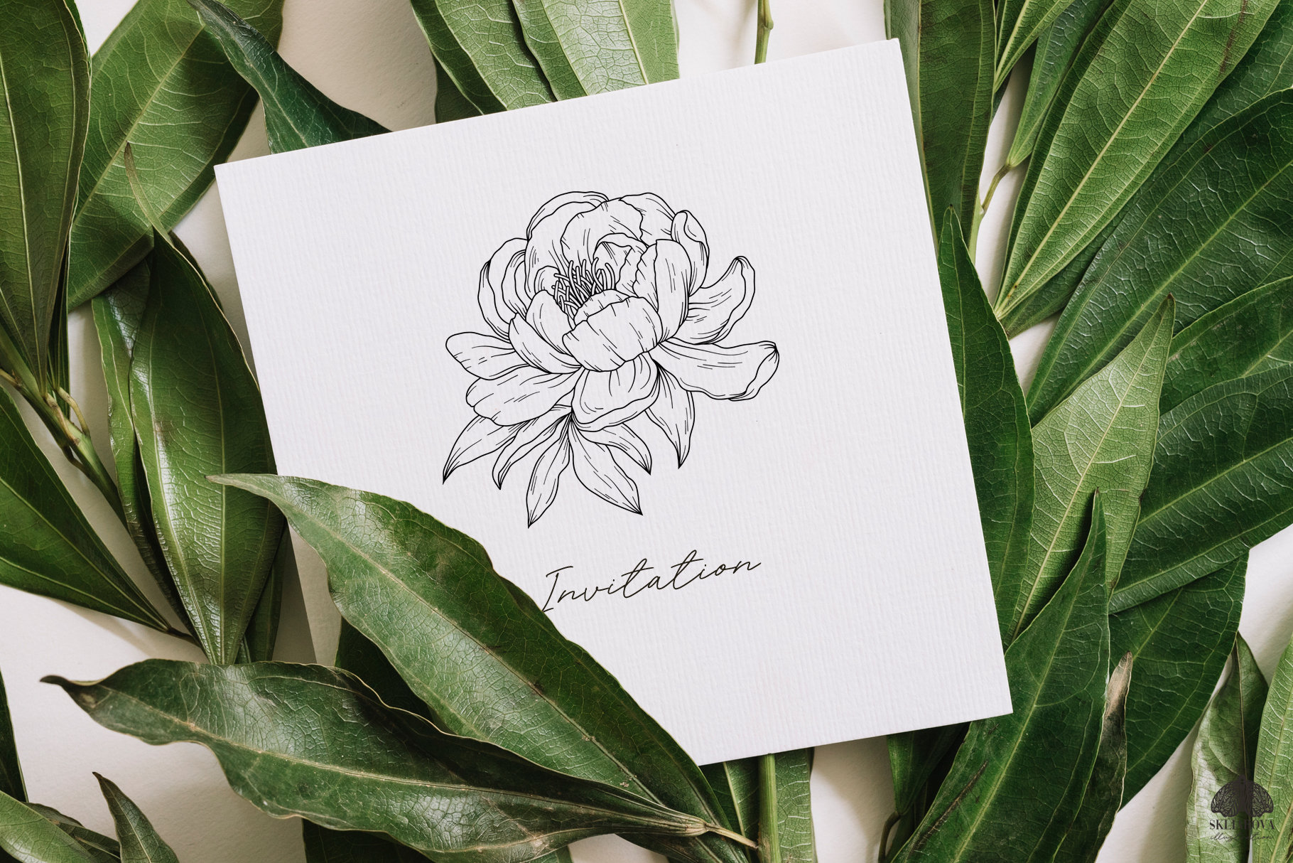 Peony Svg Bundle Floral Fine Line Art Dahlia Flowers Botanical Hand ...