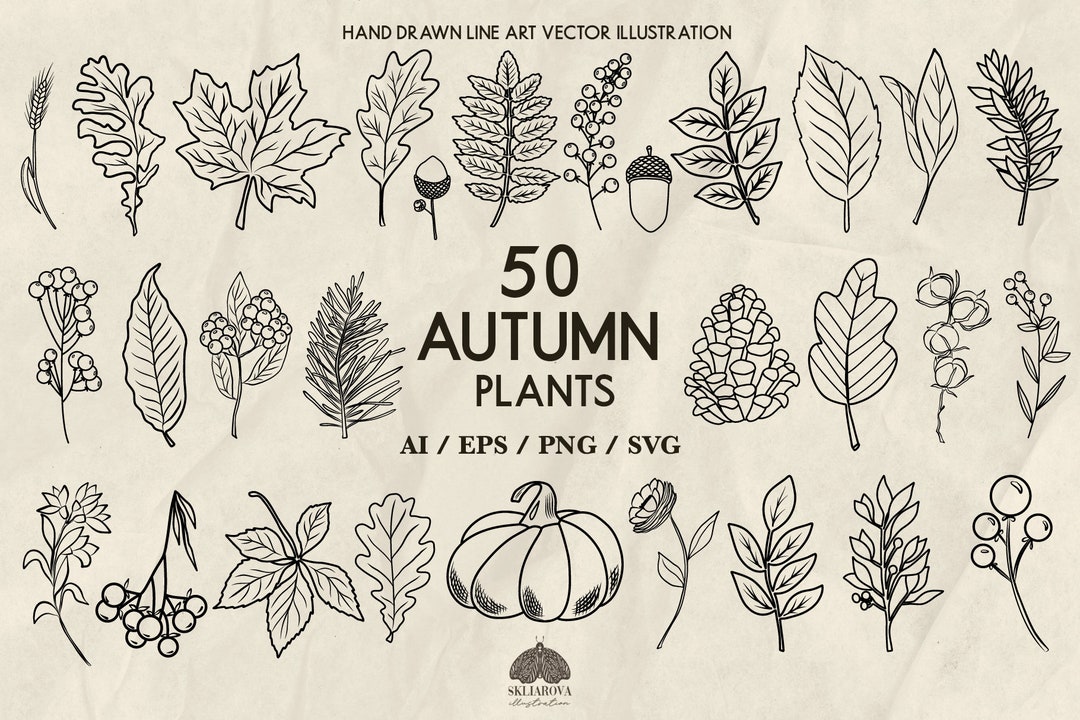 Autumn Svg Bundle Fall Botanical Line Art Svg Png Leaves Outline ...