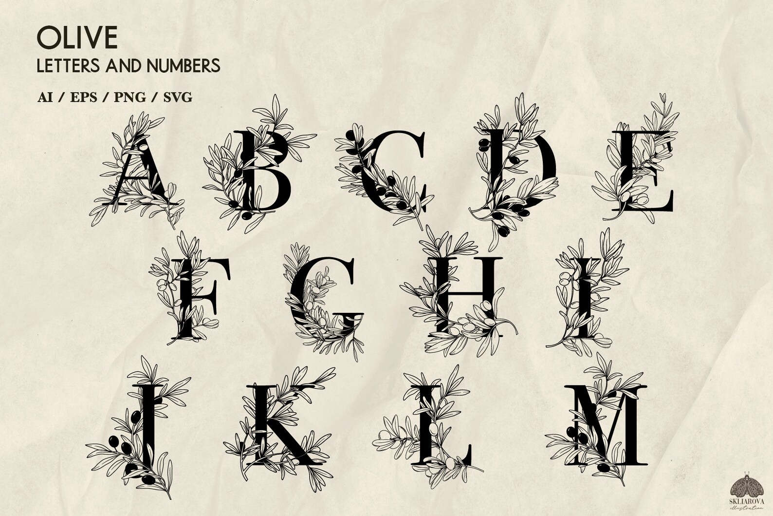 Floral Olive Alphabet SVG Bundle Botanical Olives Letters Numbers ...
