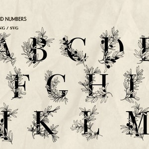 Floral Olive Alphabet SVG Bundle Botanical Olives Letters Numbers ...