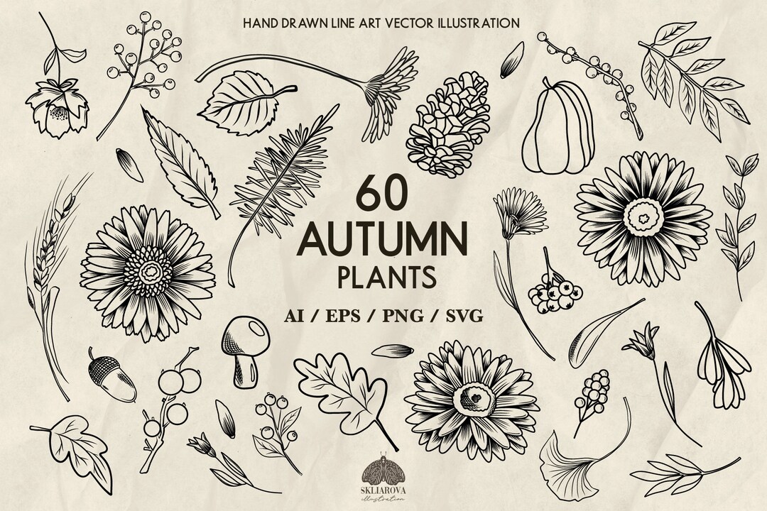Fall Svg Bundle Autumn Botanical Line Art Svg Fall Leaves Outline ...