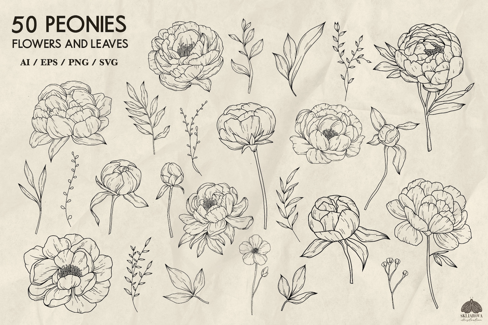 Peony Svg Bundle Floral Fine Line Art Dahlia Flowers Botanical Hand ...