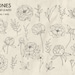 Peony Svg Bundle Floral Fine Line Art Dahlia Flowers Botanical Hand ...