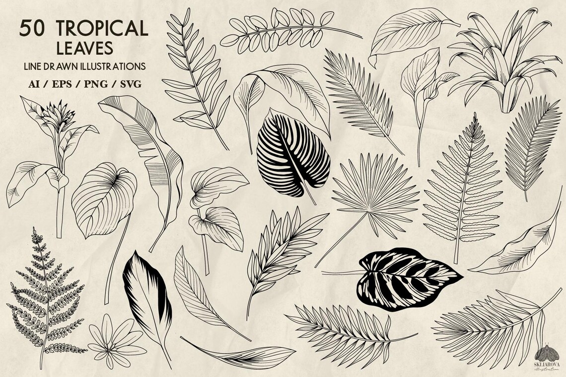 Tropical Leaves SVG Bundle: 50 Botanical Line Art Designs (+ Png, Eps ...