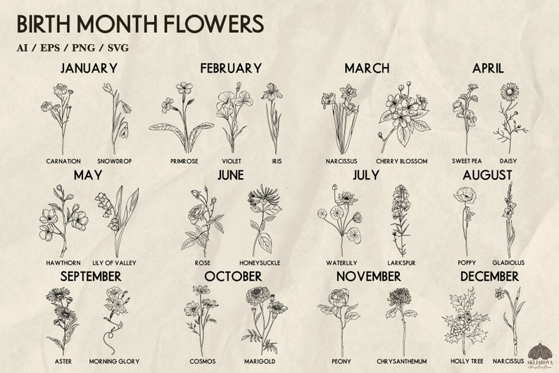 Birth Month Flowers Svg Bundle Wildflower Birth Flower of the Month Svg ...