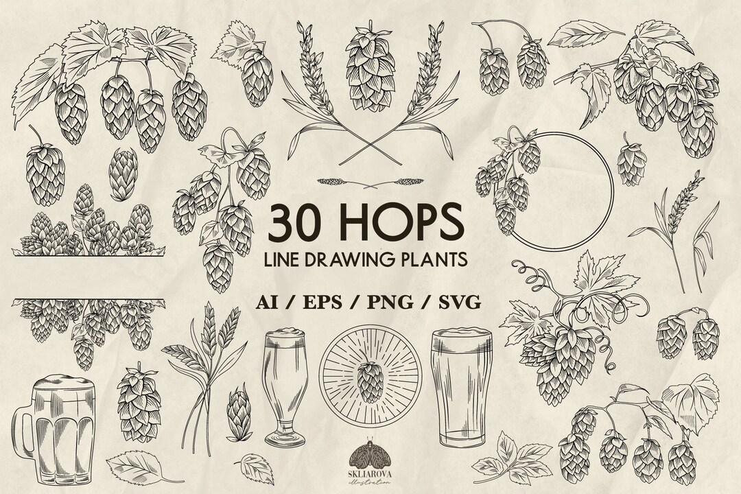 Hops Svg Bundle Beer Svg Hops Plant Svg Brewery Svg Wheat Svg Hops Logo ...