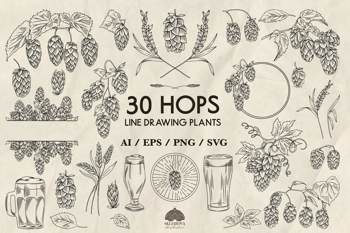 Hops Svg Bundle Beer Svg Hops Plant Svg Brewery Svg Wheat Svg Hops Logo ...