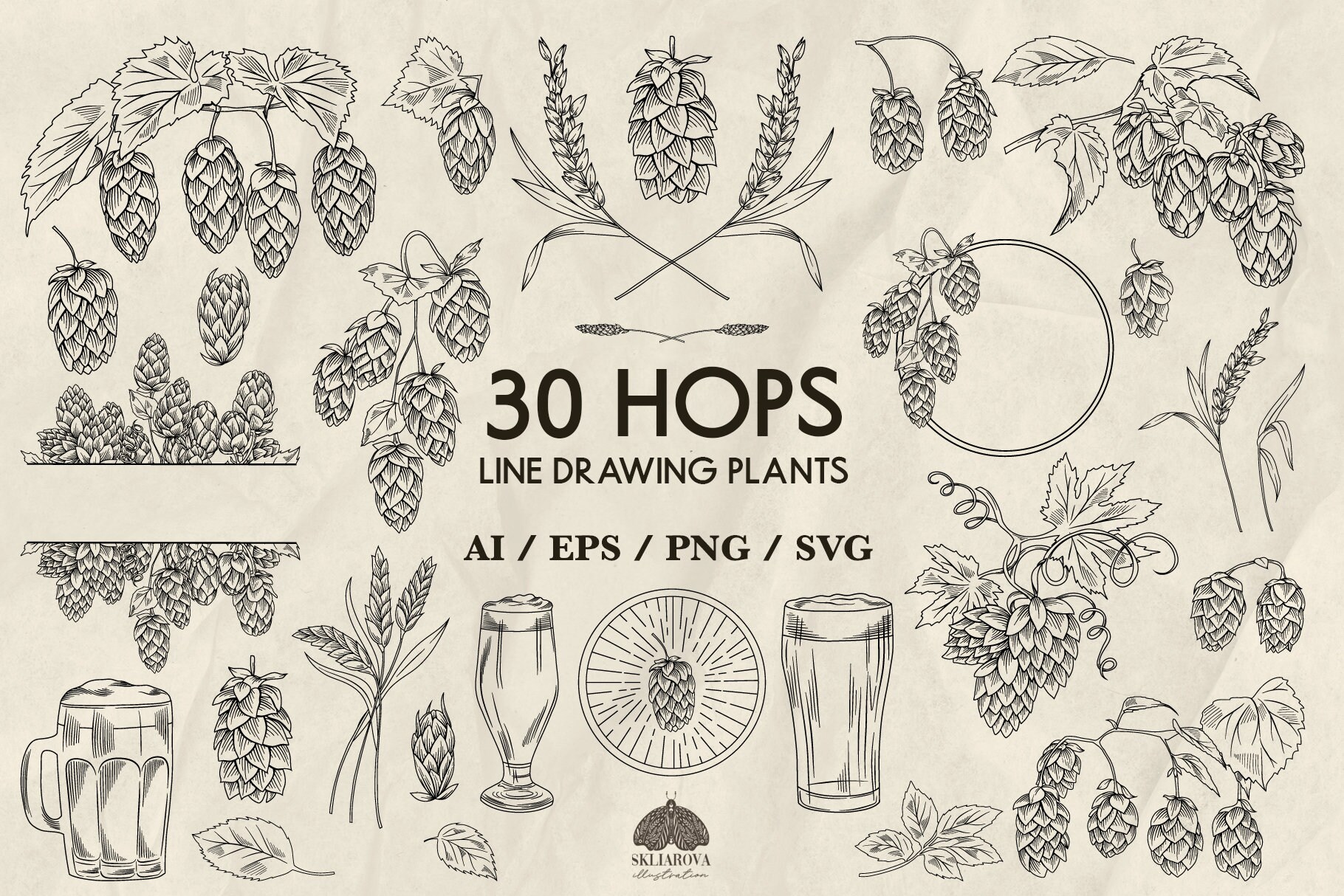 Hops Svg Bundle Beer Svg Hops Plant Svg Brewery Svg Wheat Svg Hops Logo ...
