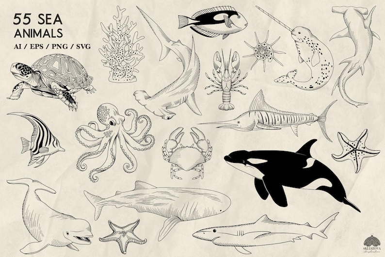 Sea Animals Line Art SVG Bundle: 55 Marine Life Illustrations ( + PNG ...