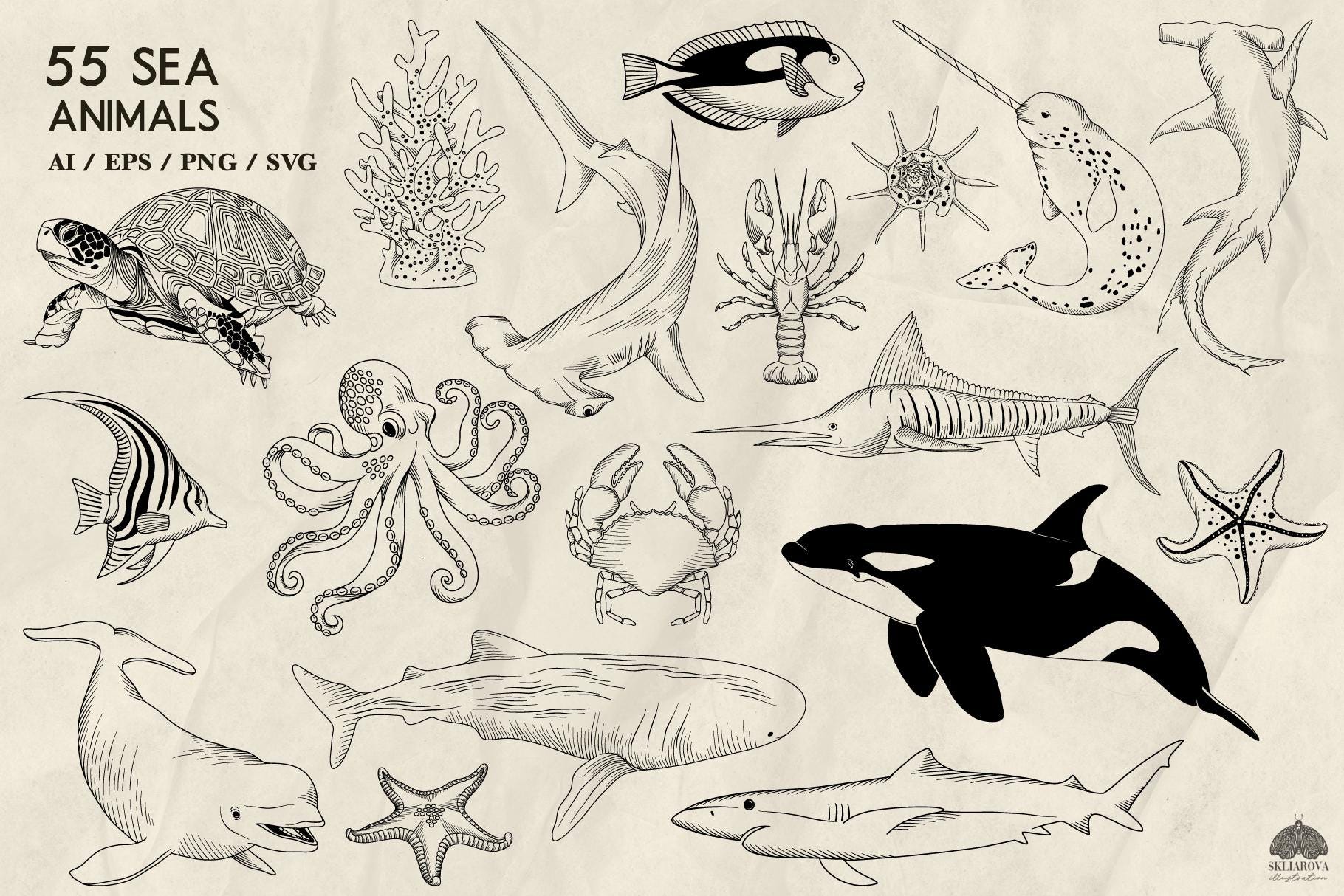 Sea Animals Line Art SVG Bundle: 55 Marine Life Illustrations ( + PNG ...