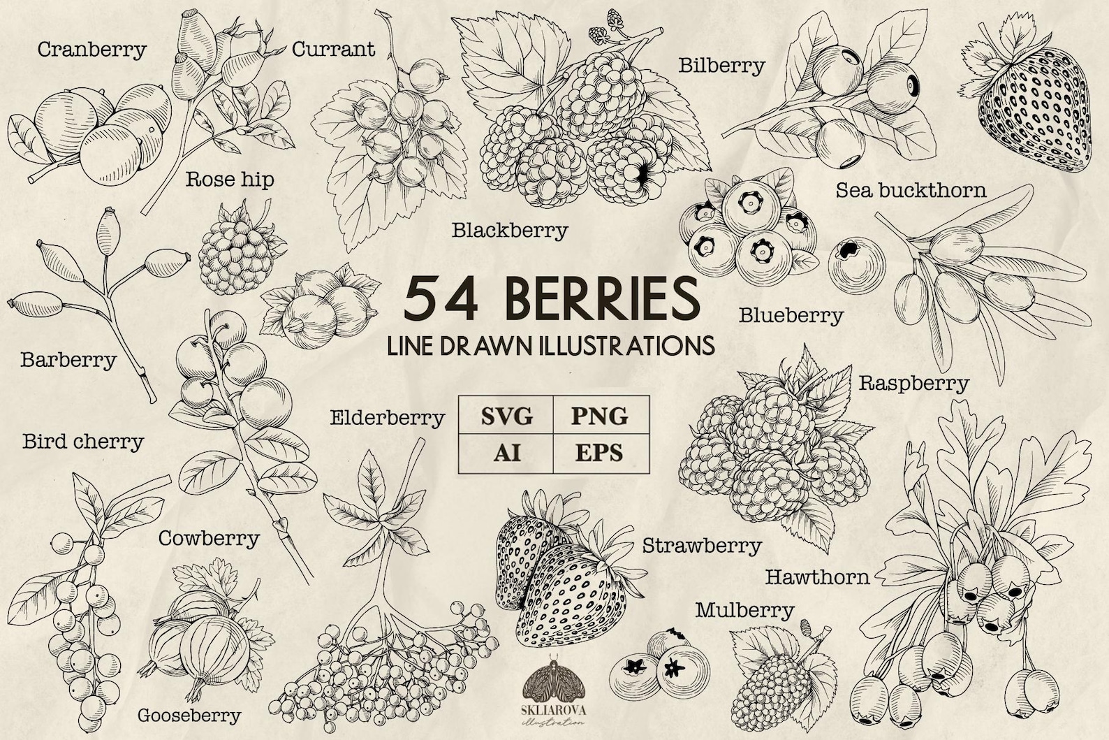 Berry Svg Bundle Berries Svg Blueberry Svg Strawberry Svg Raspberry Svg ...