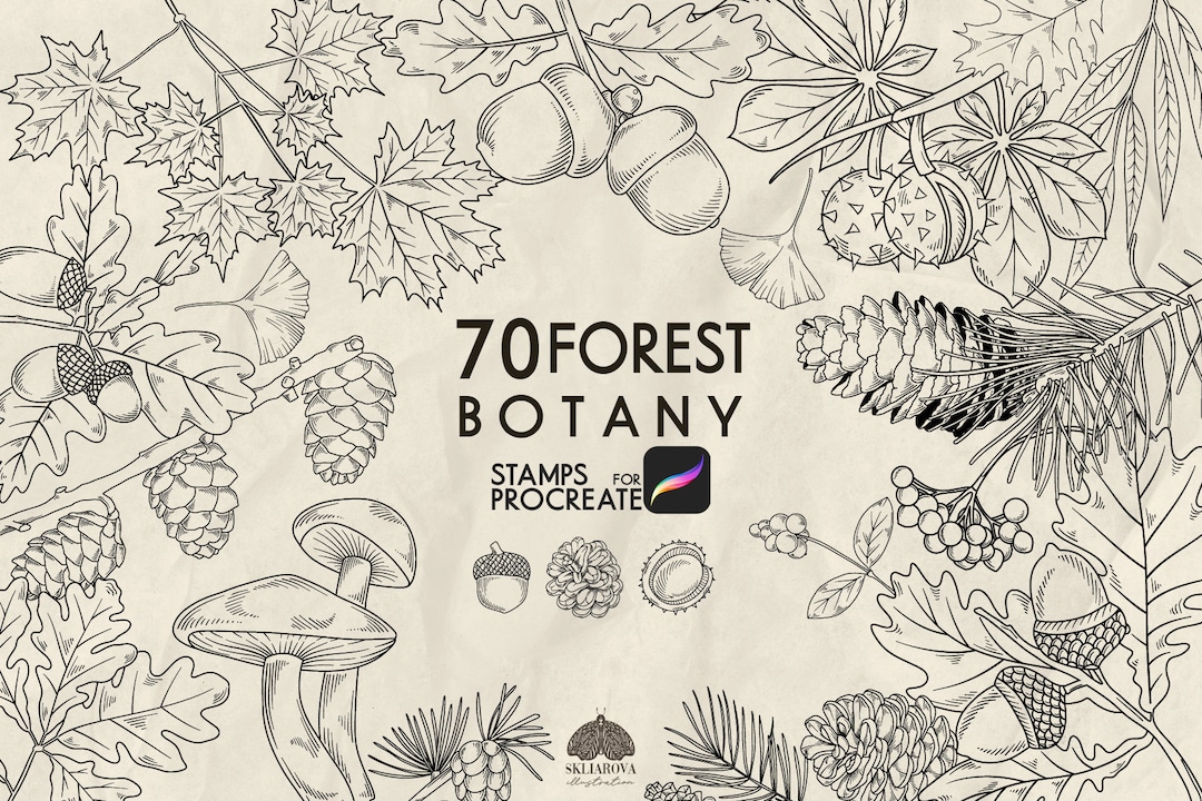 Forest Botanical Procreate Stamps: 70 Fall Floral Brushes (procreate ...