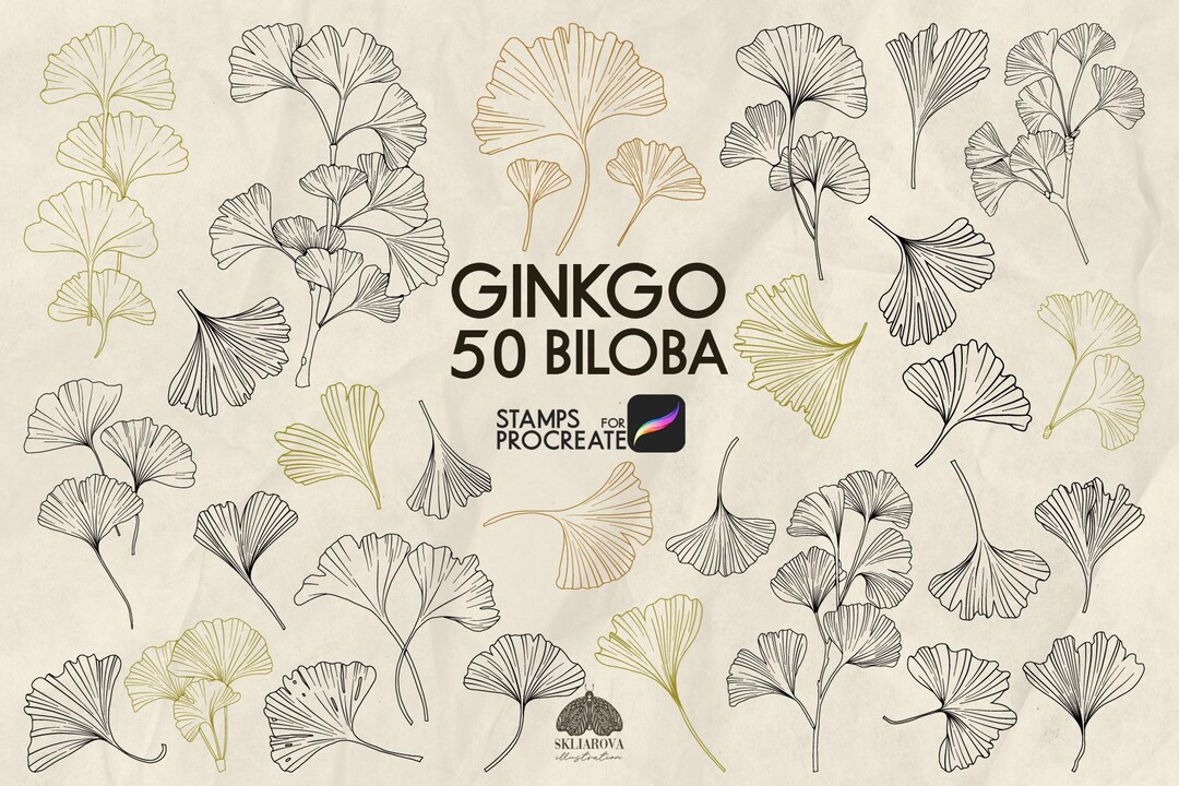 Ginkgo Biloba Stamps for Procreate: 50 Botanical Line Art Brushes ...