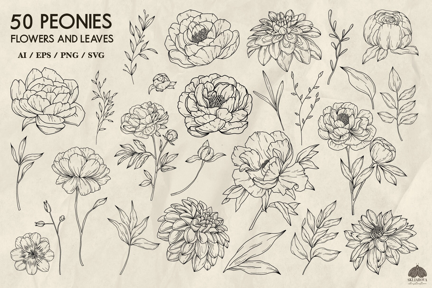 Peony Svg Bundle Floral Fine Line Art Dahlia Flowers Botanical Hand ...