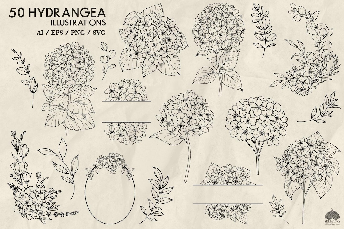 Hydrangea Svg Bundle Line Drawing Hydrangea Flower Wreath Svg Frame ...