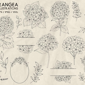 Hydrangea Svg Bundle Line Drawing Hydrangea Flower Wreath Svg Frame ...
