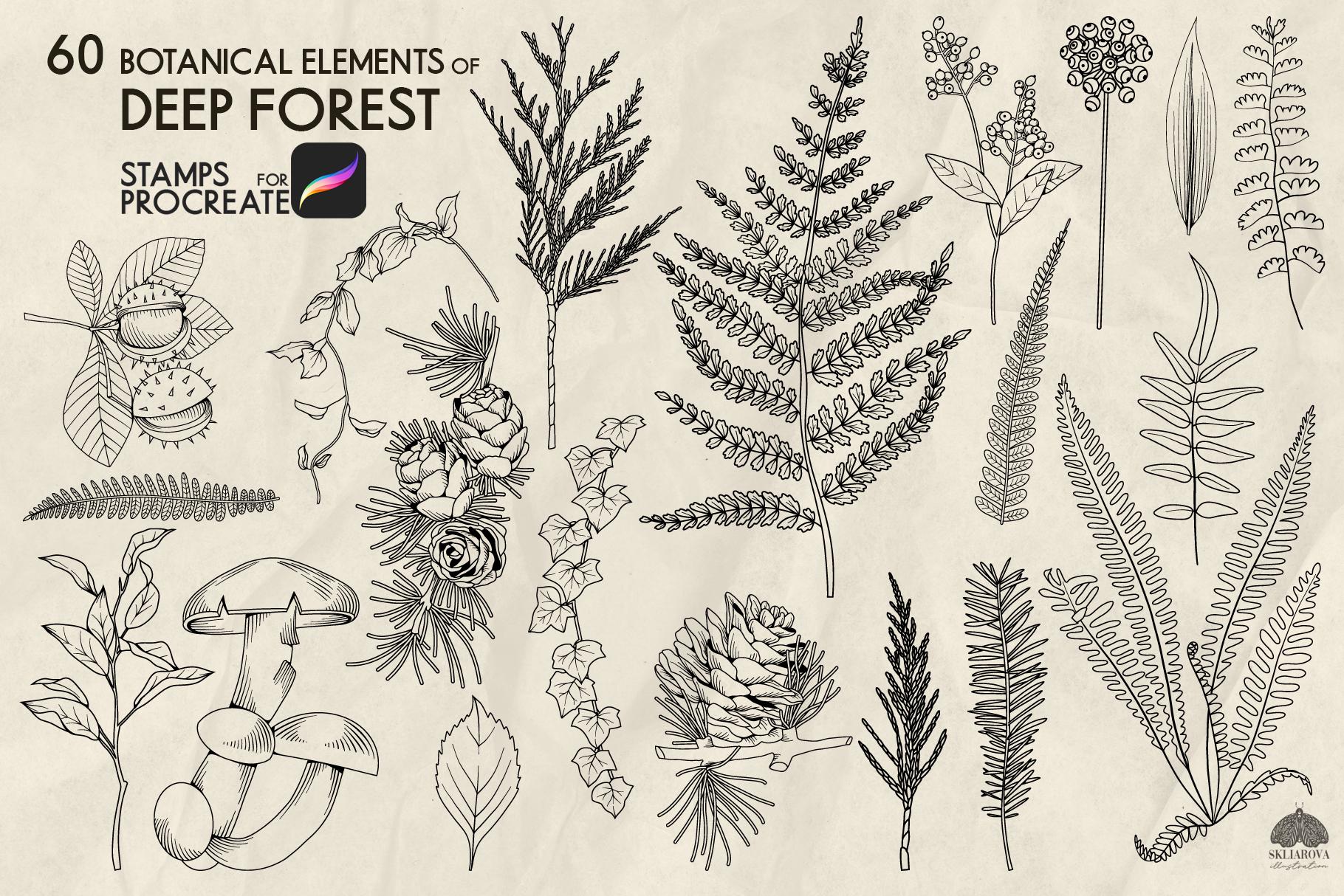Forest Floral Stamps for Procreate: Botanical Line Art Brushes ...