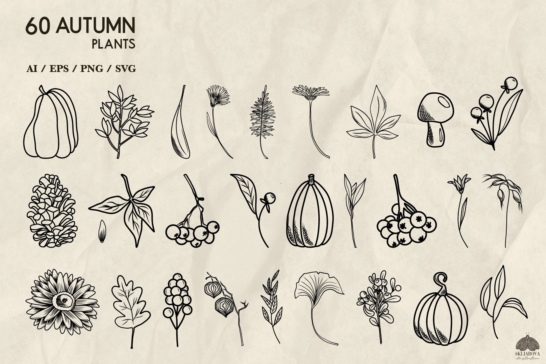 Fall Svg Bundle Autumn Botanical Line Art Svg Fall Leaves Outline ...