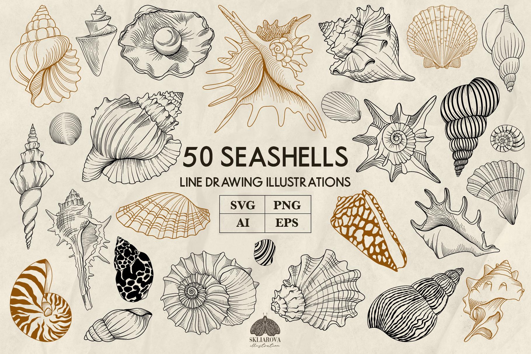 Seashell Svg Bundle Seashell Png Seashell Clipart Shell Svg Cut Files ...