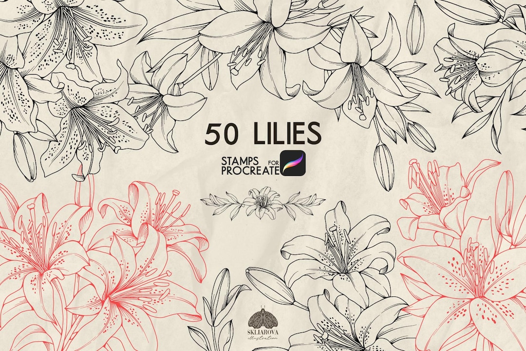 Lily Stamps for Procreate: 50 Floral Line Art Brushes (procreate iPad ...