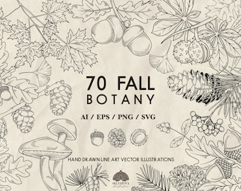 Fall Floral Svg Bundle Autumn Botanical Line Art Svg Line Drawing ...