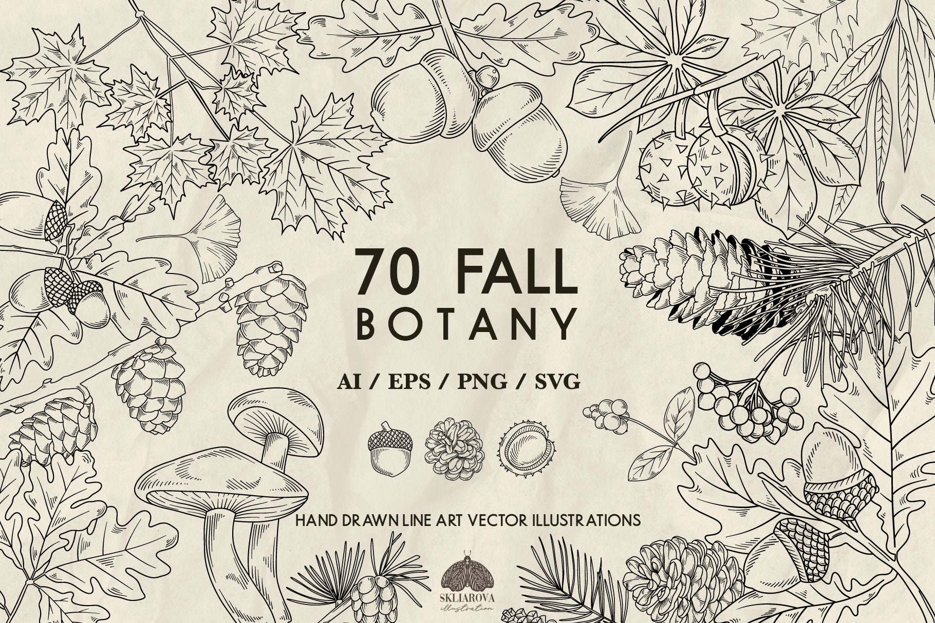 Fall Themed Line Drawings