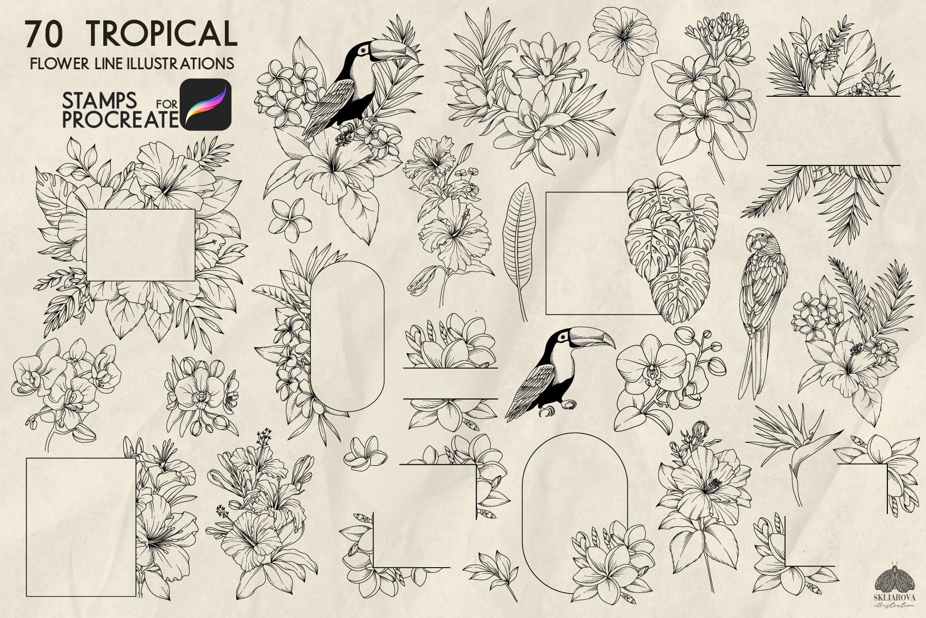 Tropical Stamps for Procreate: 70 Floral Line Art Brushes (procreate ...