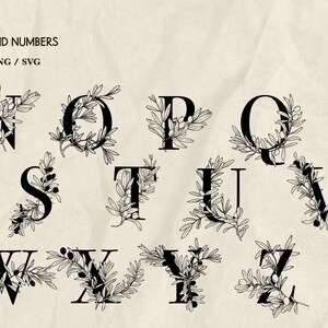 Floral Olive Alphabet SVG Bundle Botanical Olives Letters Numbers ...