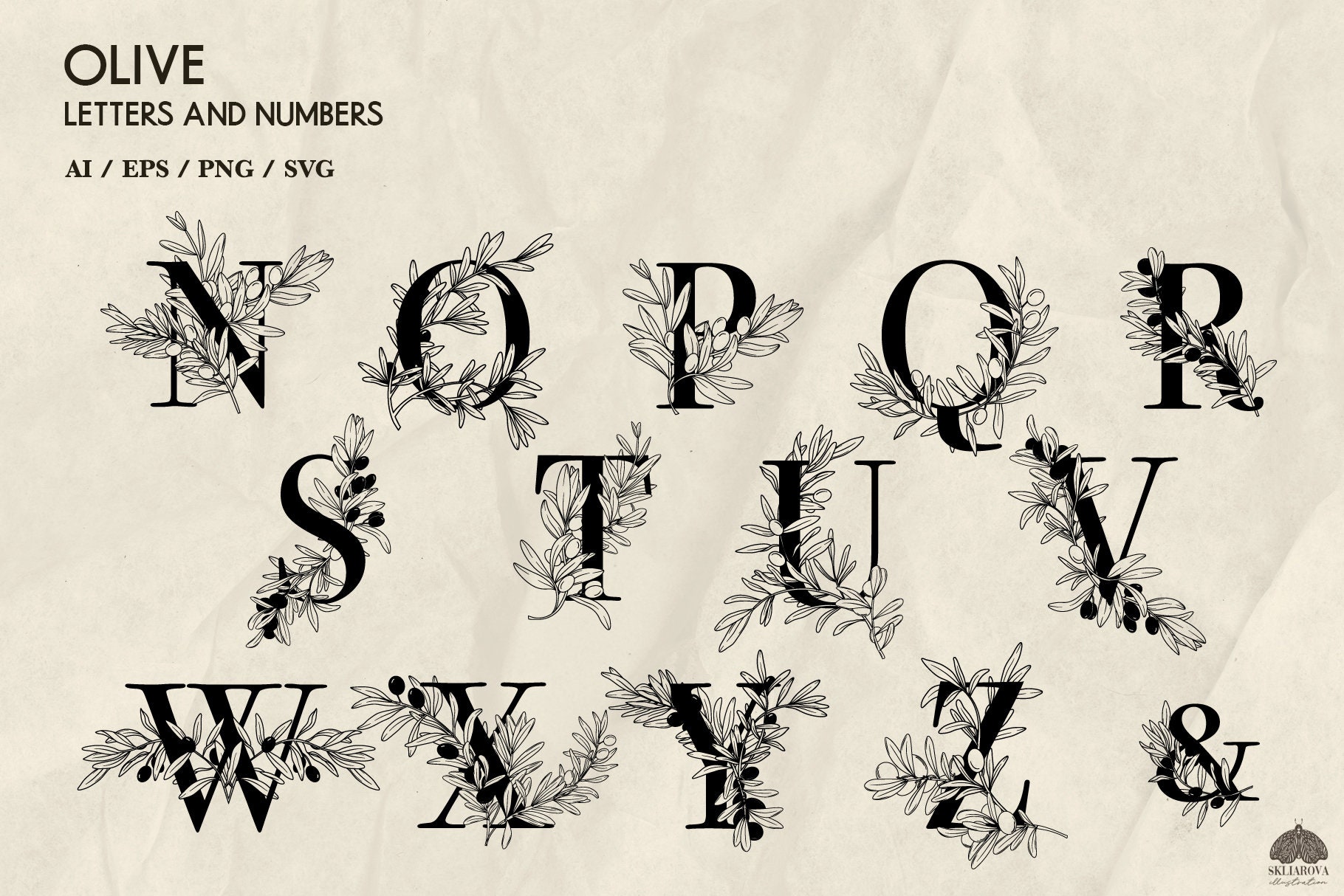 Floral Olive Alphabet SVG Bundle Botanical Olives Letters Numbers ...