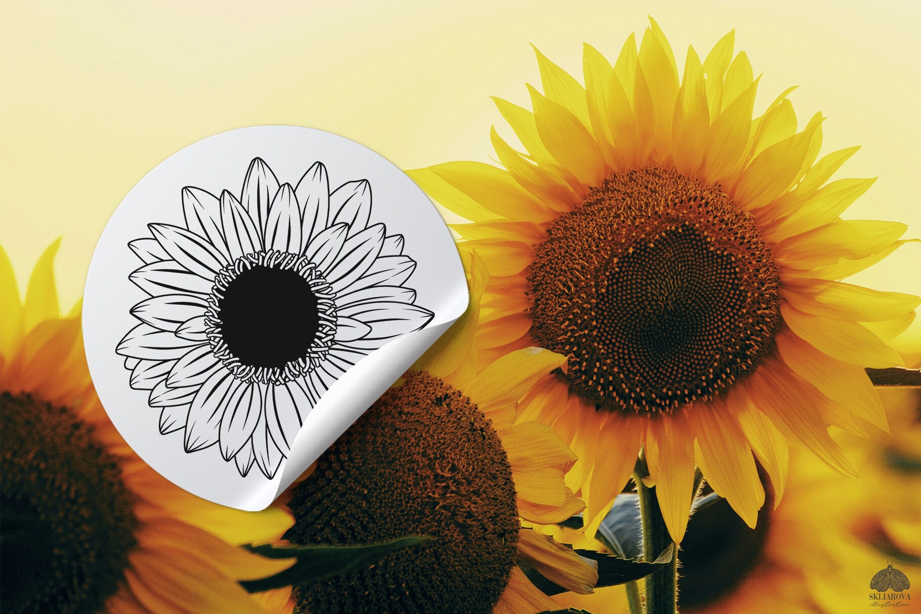 Sunflower SVG PNG Flower Svg Floral Svg Sunflower Silhouette Hand Drawn ...