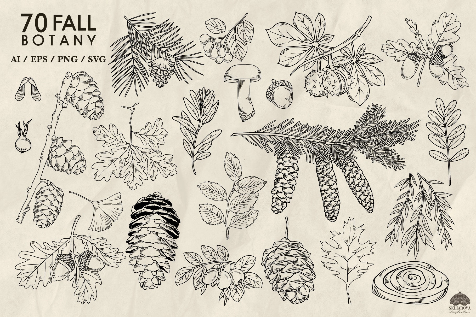 Fall Botanical Line Art SVG Bundle: 70 Autumn Floral Vector ...