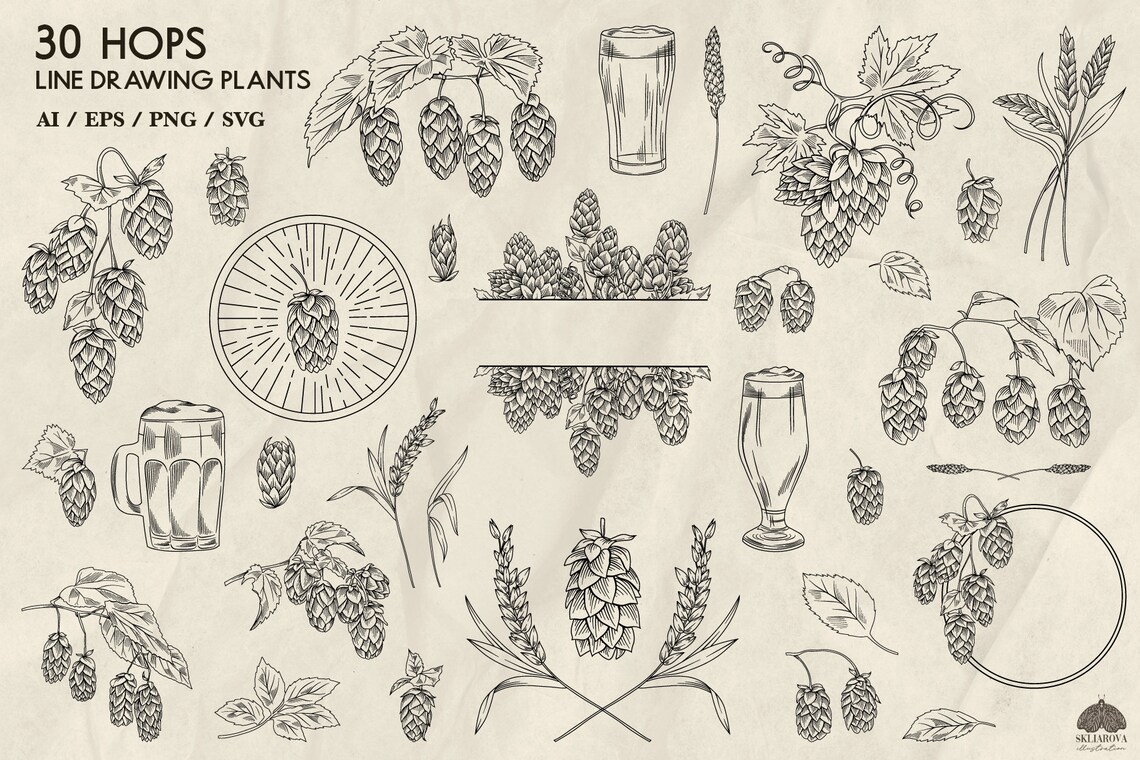Hops Svg Bundle Beer Svg Hops Plant Svg Brewery Svg Wheat Svg Hops Logo ...