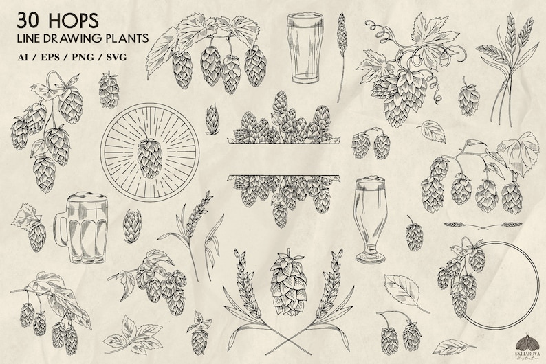 Hops Svg Bundle Beer Svg Hops Plant Svg Brewery Svg Wheat Svg Hops Logo ...