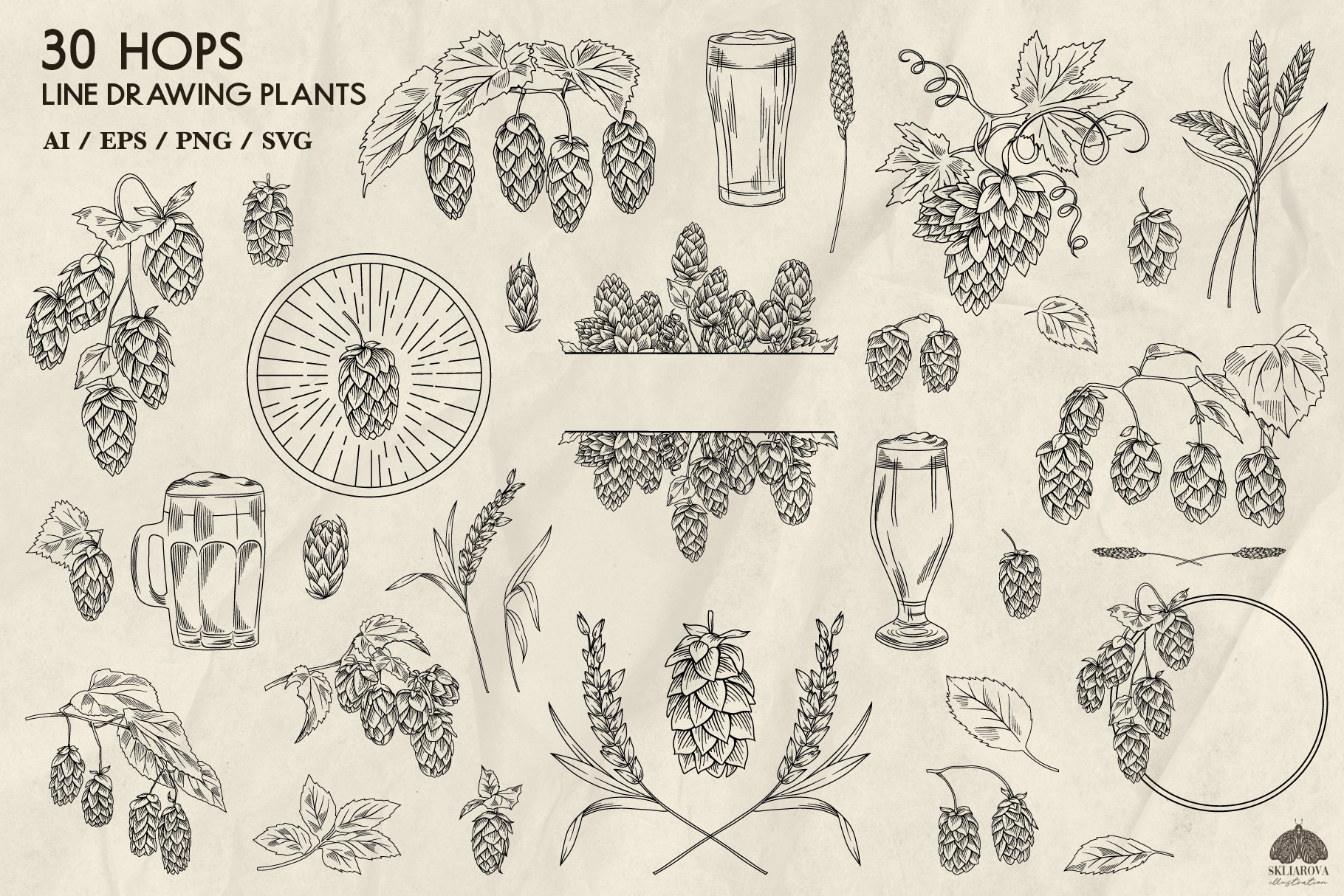 Hops Svg Bundle Beer Svg Hops Plant Svg Brewery Svg Wheat Svg Hops Logo ...